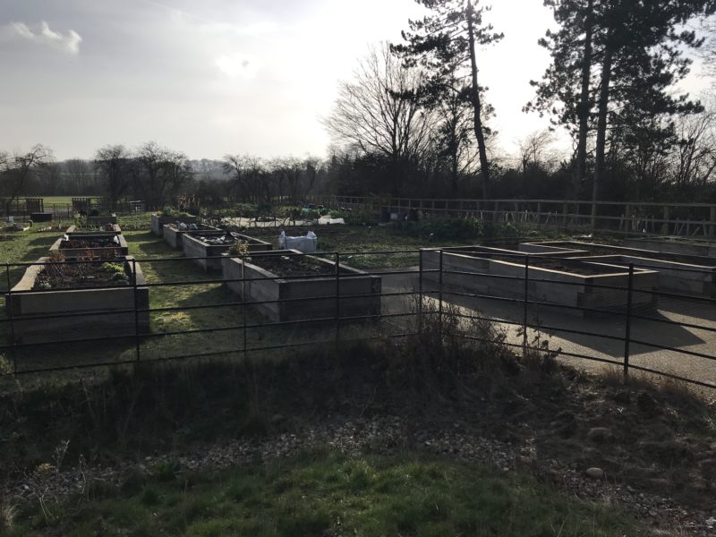 Nine Wells – Cambridge allotments